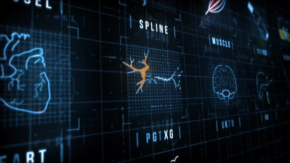 10+ Top World Health Day Video Templates for After Effects | Envato Tuts+