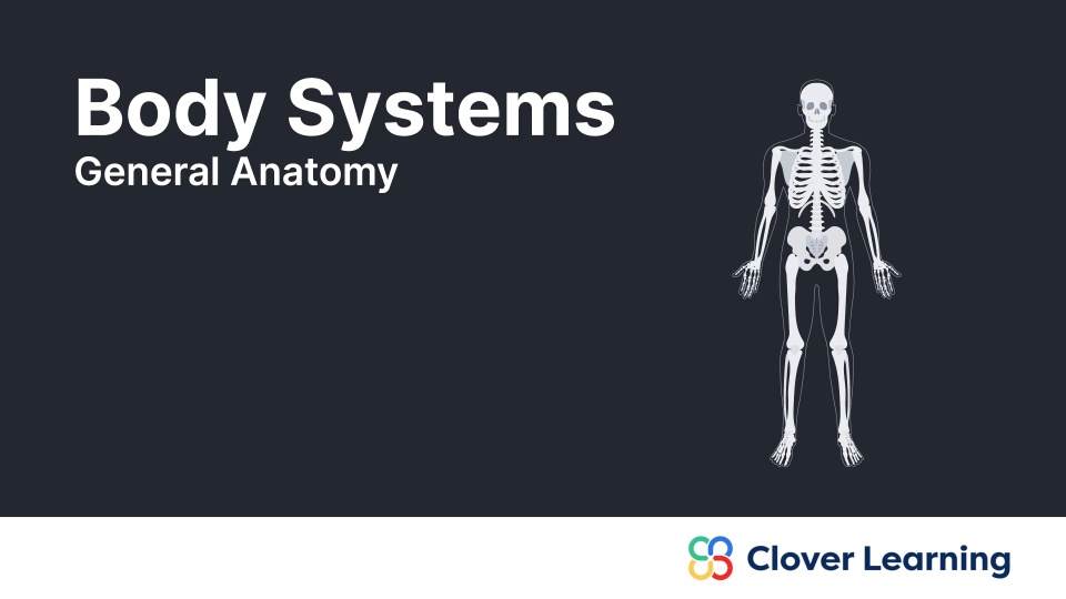 Radiography: General Anatomy Body Systems | Video Lesson | Clover Learning