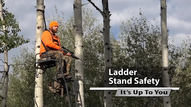 Ladder Stand Safety