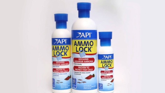 API Ammo-Lock Freshwater & Saltwater Aquarium Ammonia Detoxifier, 16-oz ...