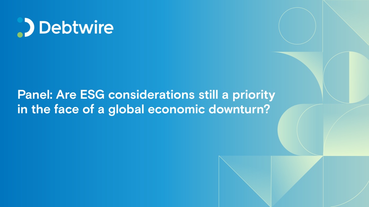 Panel: Are ESG considerations still a priority in the face of a global ...