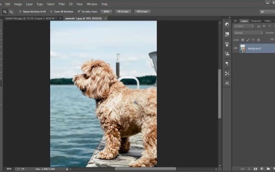 Photo Manipulation Fundamentals - Techniques for Isolating Objects in ...