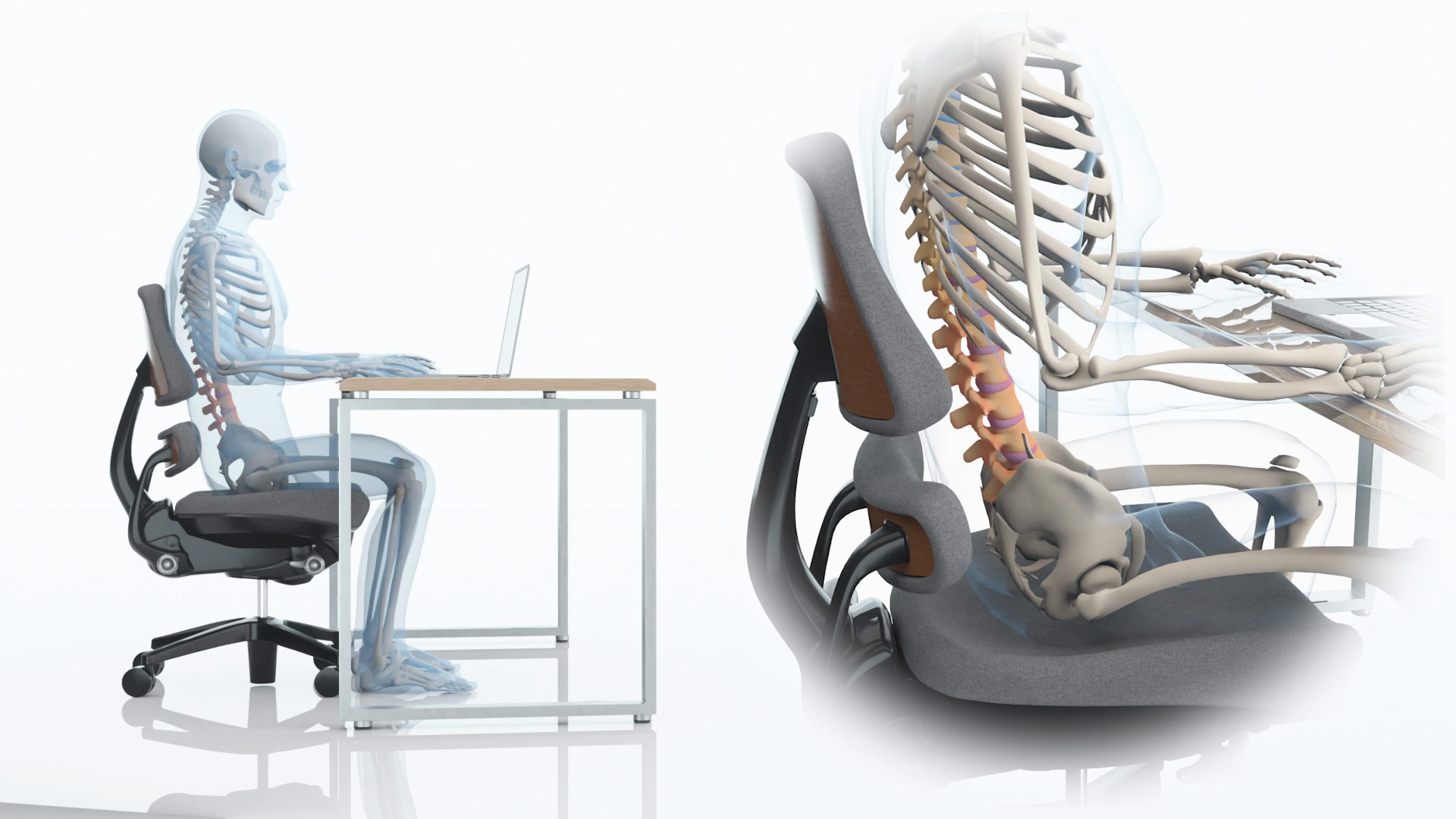 Best chair for degenerative disc disease store