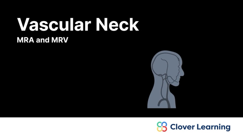MRI for Vascular Neck (MRA and MRV) (Procedures) | Video Lesson ...