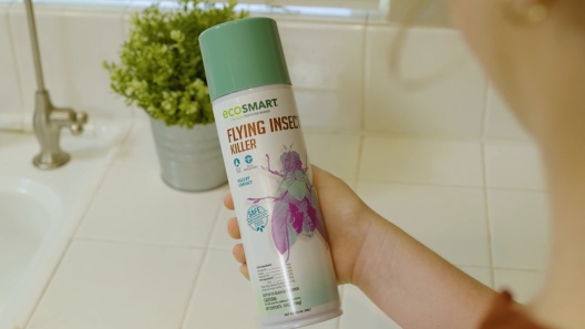 ECOSMART Flying Insect Killer, 14-fl oz bottle - Chewy.com