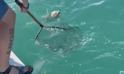 Dry Bones Fishing Charters - Updated 2024 Prices