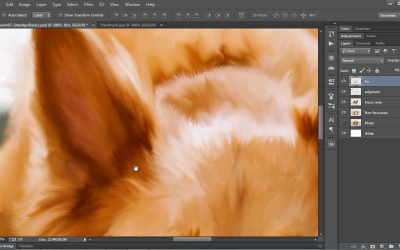 Creative Photo Effects in Adobe Photoshop - Fur Painting
