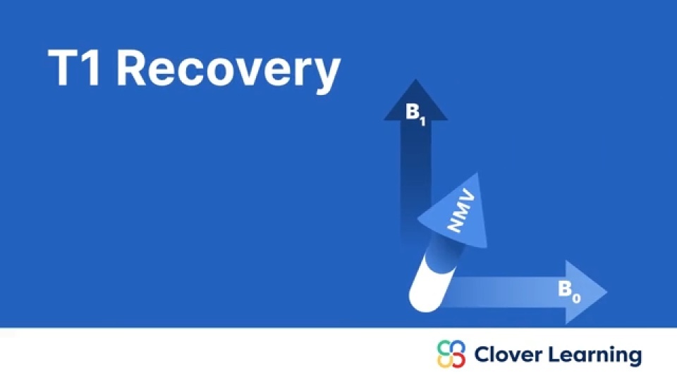 T1 Recovery | Video Lesson | Clover Learning
