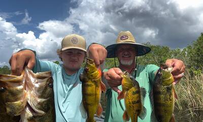 Fresh Lake Okeechobee Fishing Reports (August 2022)