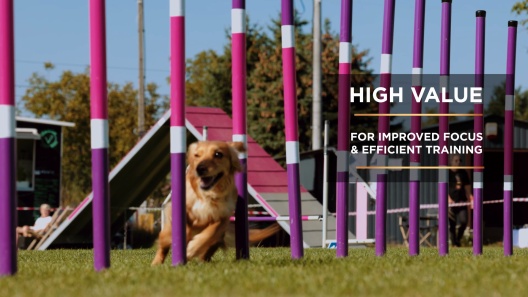 CLOUD STAR Tricky Trainers Mini with Liver Soft & Chewy Dog Treats, 5 ...