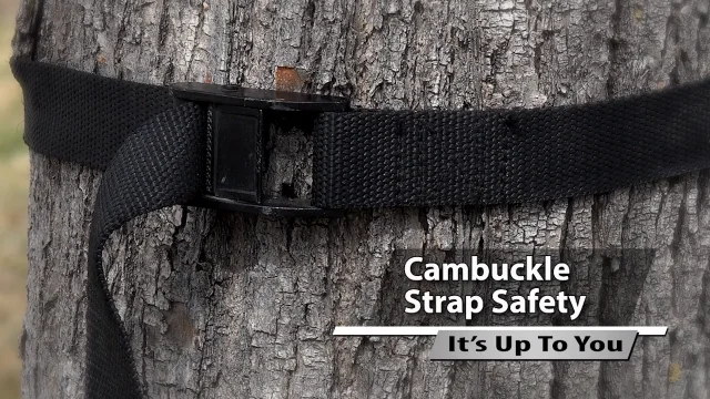 Ladder Stand Safety
