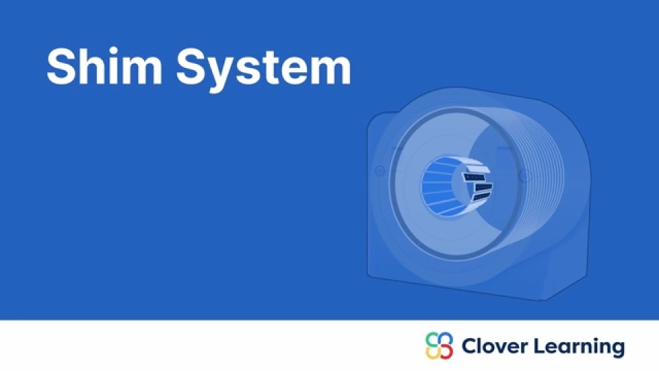 Shim System | Video Lesson | Clover Learning