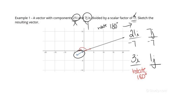 Dividing a Vector by a Scalar | Physics | Study.com