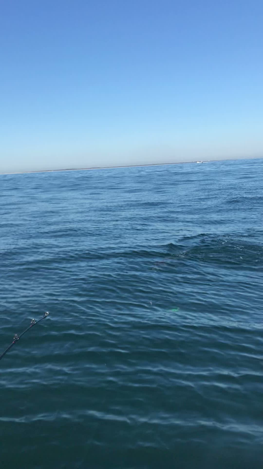 Janie K Sport Fishing (Keyport) - Updated 2022 Prices - FishingBooker