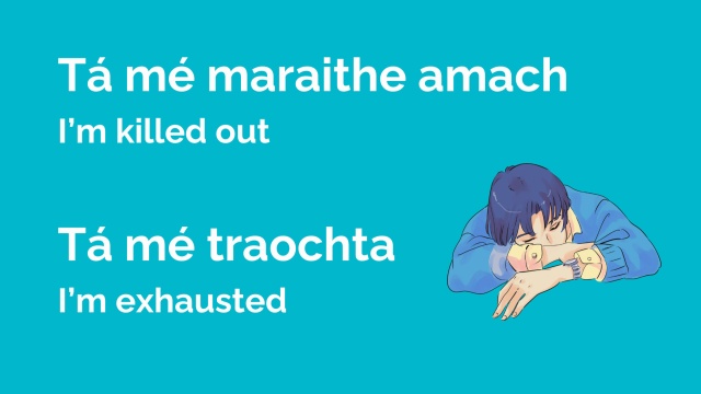 Meme Traochta Bhí An Am Ag Vince, Seán Agus... Gaelcholáiste
