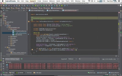 Getting Started With Android - Creating the Gallery Image Detail Activity