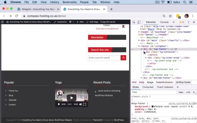 Everything You Need to Know About WordPress Widgets - Understanding ...