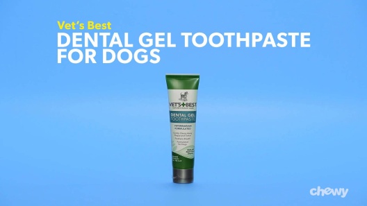 VET'S BEST Enzymatic Dog Toothpaste, 3.5-oz bottle - Chewy.com