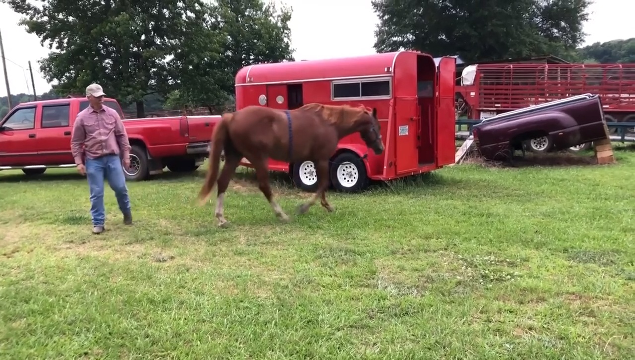 Carson James Buckaroo Crew