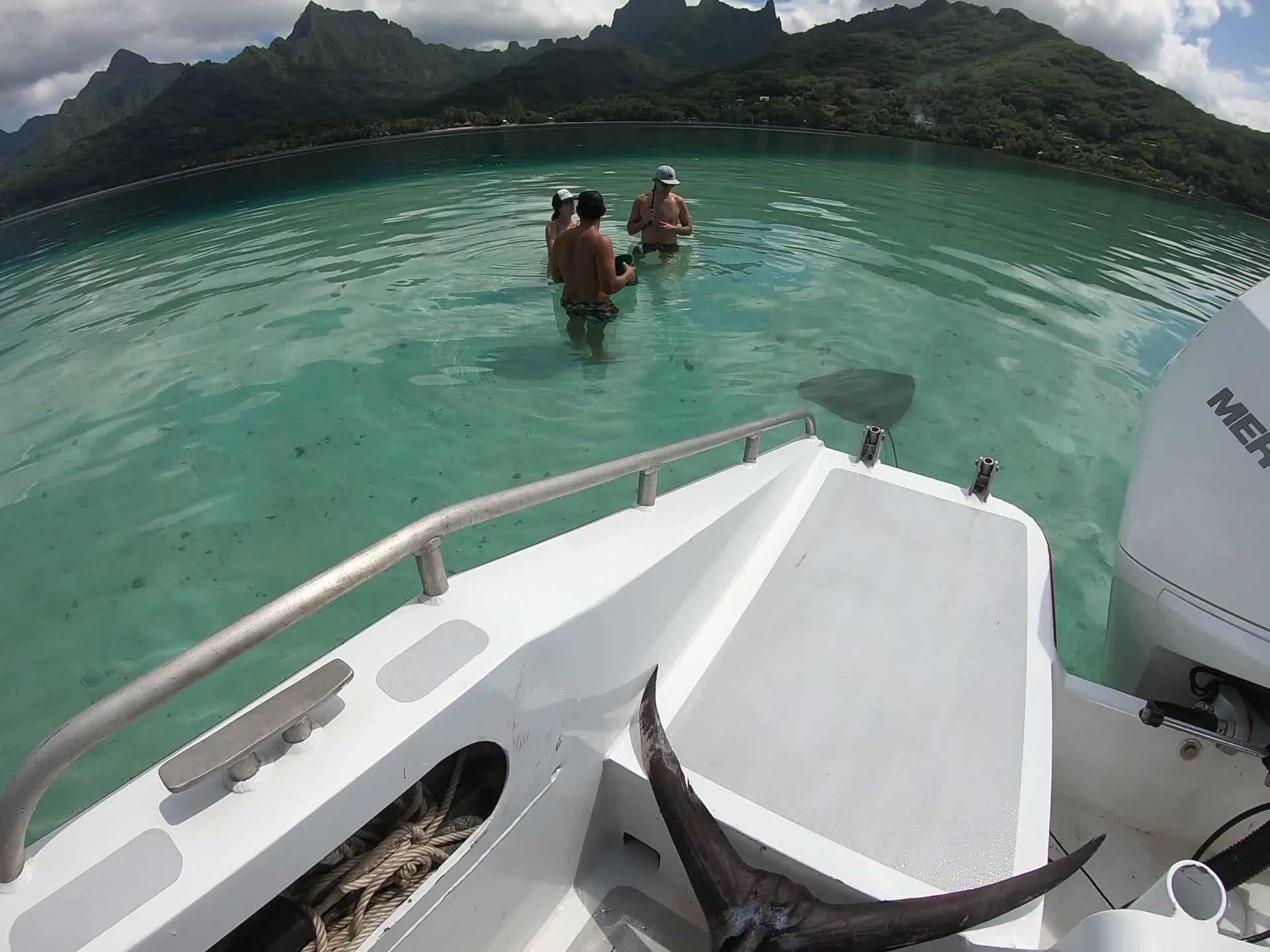 Moorea Fishing Adventures - Updated 2024 Prices