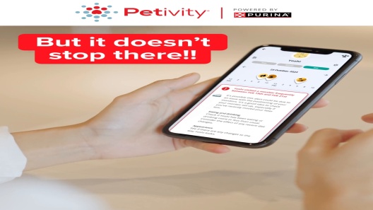 PURINA PETIVITY Smart Litterbox Monitor System - Chewy.com