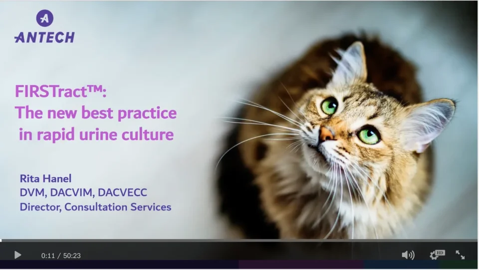 FIRSTract™:The Best New Practice in Rapid Urine Culture - Antech Diagnostics