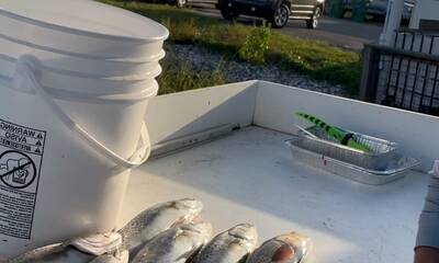 Full Moon Magic - Darien Fishing Report - FishingBooker