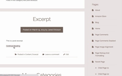 WordPress Theme Creation With Underscores - Add Excerpt Support and a Styled “Continue Reading ...