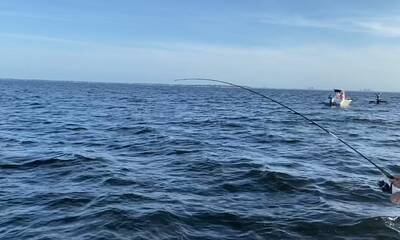 Afternoon Delight - Santa Rosa Beach Fishing Report - FishingBooker