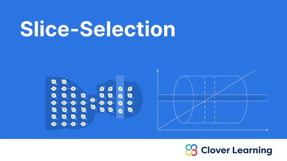Slice-Selection | Video Lesson | Clover Learning