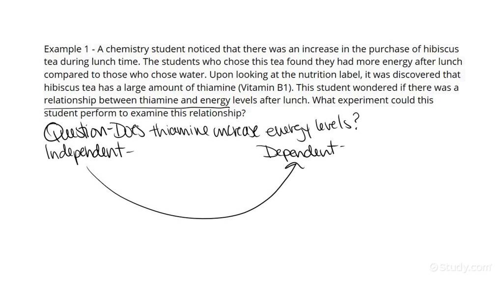 Constructing Experimental Procedures from a Scientific Question ...