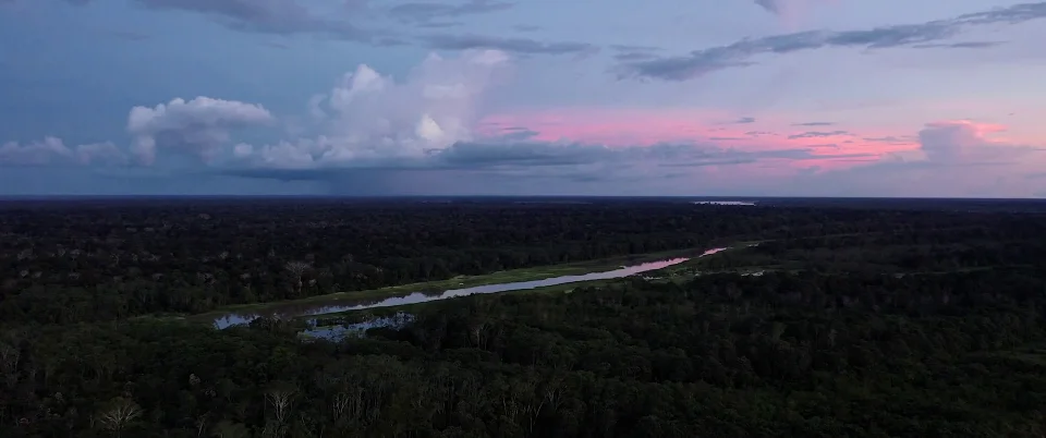 EY-Earthwatch Ambassador Program | Earthwatch