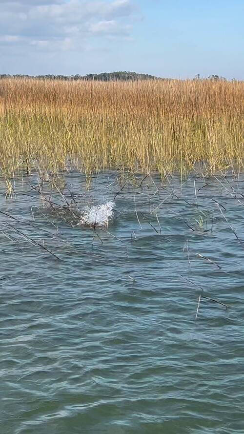 Georgia Bight Charters - Updated 2024 Prices