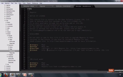 Magento Fundamentals - Understanding Model Entities and Resource Models