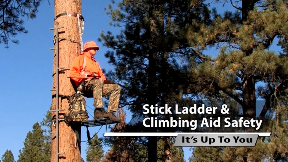Stick Ladder Safety