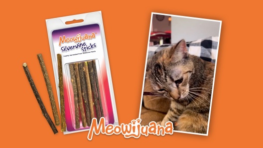 MEOWIJUANA King Sized Silvervine Cat Sticks, 6 count - Chewy.com