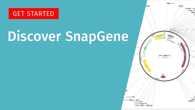 Discover SnapGene - Snapgene