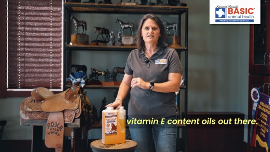 BASIC ANIMAL HEALTH Pure Gold Extreme Liquid Horse Supplement, 64-fl oz ...