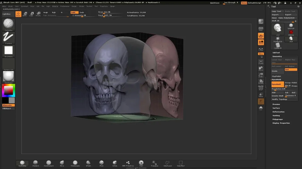 Zbrush Software