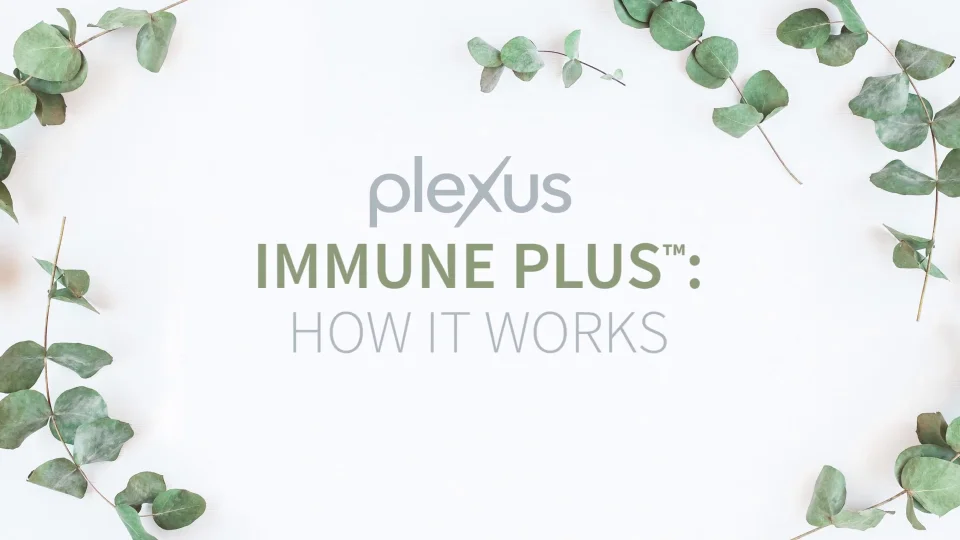 Prime, Support, Maintain: Simplifying How Immune Plus Works