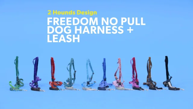 Freedom No Pull Dog Harness