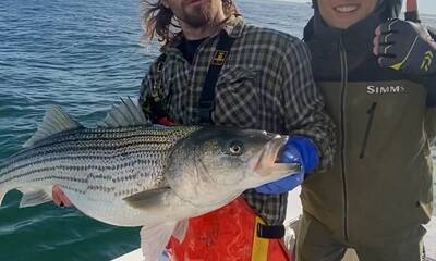 Spring striped bass Raritan Bay - Neptune City Fishing Report ...