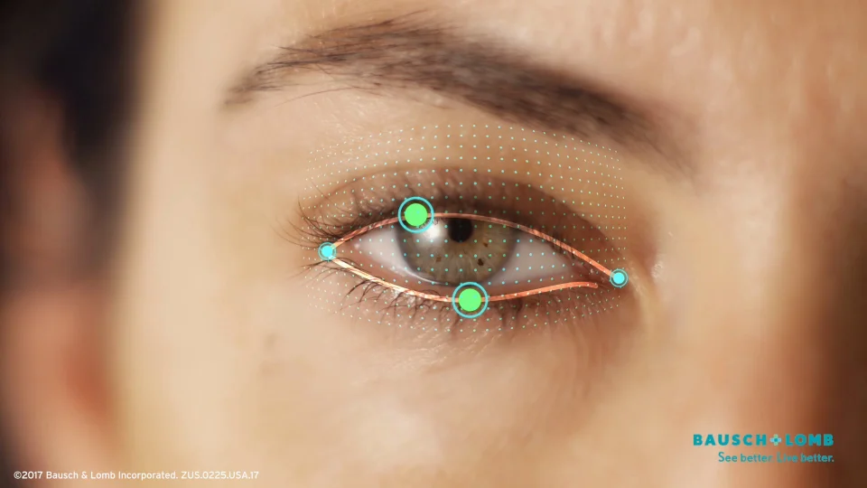 Explore the Human Blink