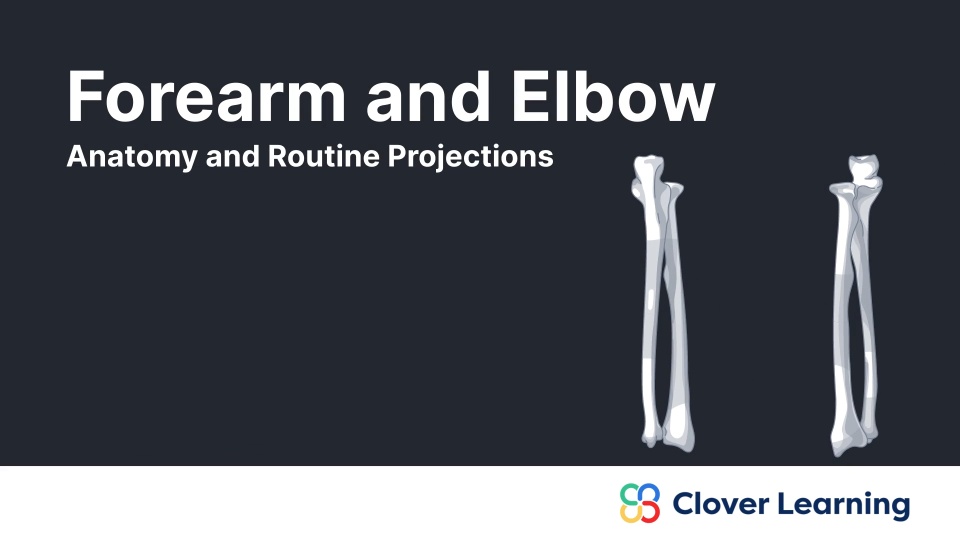 Forearm & Elbow: Anatomy & Routine Projections | Video Lesson | Clover ...