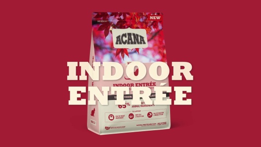 ACANA Indoor Entree Chicken Turkey Whole Herring & Rabbit Dry Cat Food, 4-lb bag - Chewy.com