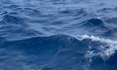 Fin Chaser Cabo (Cabo San Lucas) - Updated 2022 Prices - FishingBooker