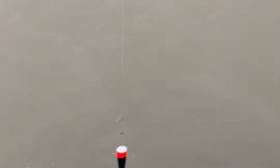 FISHING IS GREAT!! - Palacios Fishing Report - FishingBooker