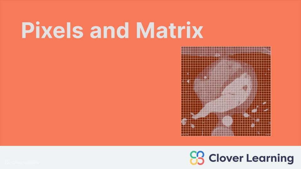 Pixels and Matrix | Video Lesson | Clover Learning