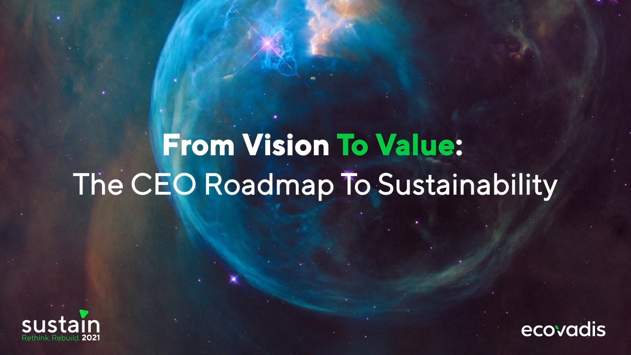 From Vision To Value- The CEO Roadmap To Sustainability | EcoVadis
