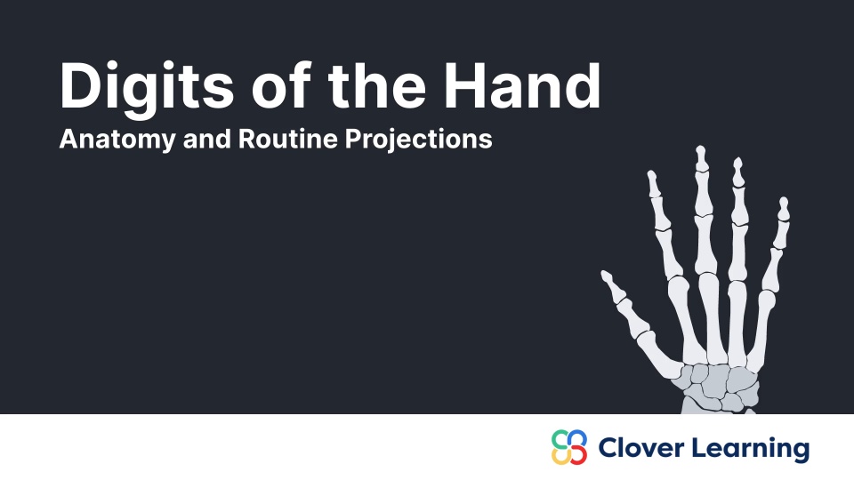 Digits of the Hand: Anatomy & Routine Projections | Video Lesson ...